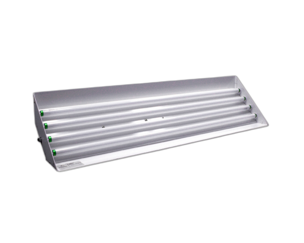 Light Fixtures & Components